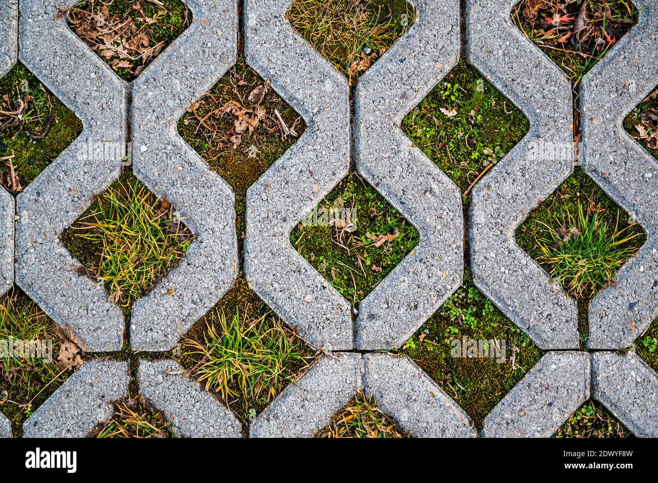 A top view shot of checkered tiles of a garden path Stock Photo - Alamy