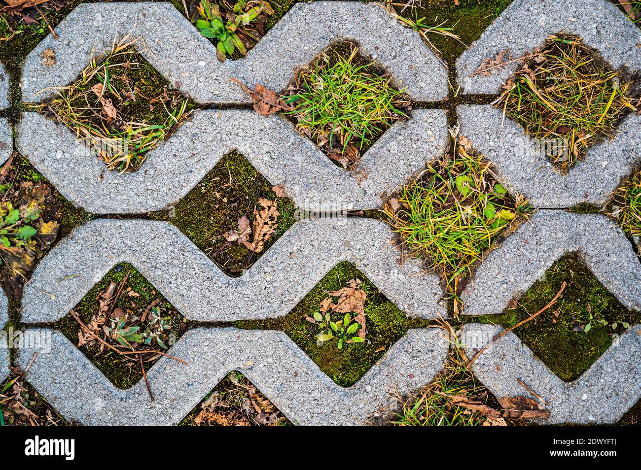 A top view shot of checkered tiles of a garden path Stock Photo - Alamy