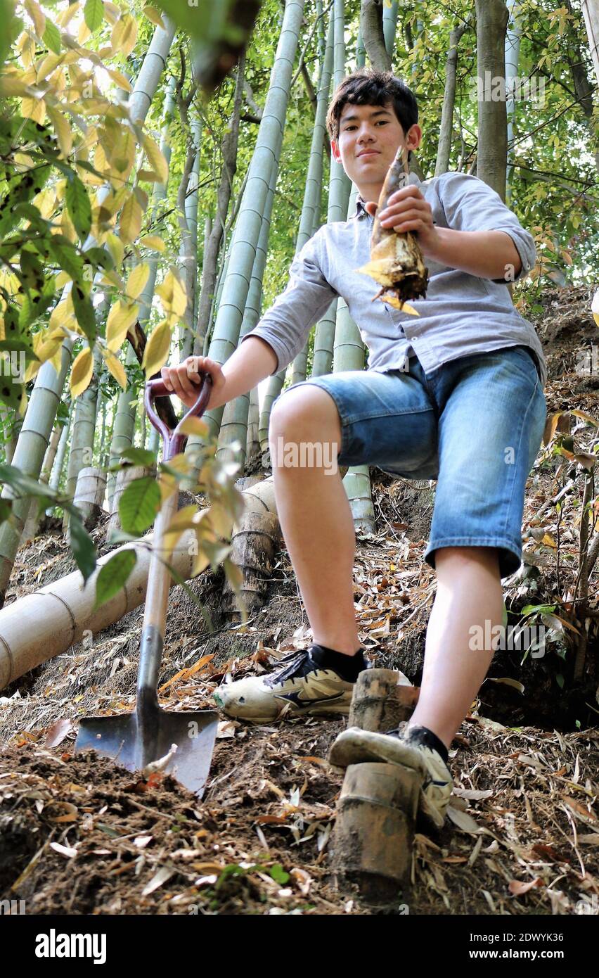 Indian grove hi-res stock photography and images - Alamy