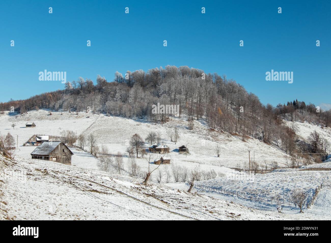 A beautiful shot of a forest and a valley covered with snow and a few ...