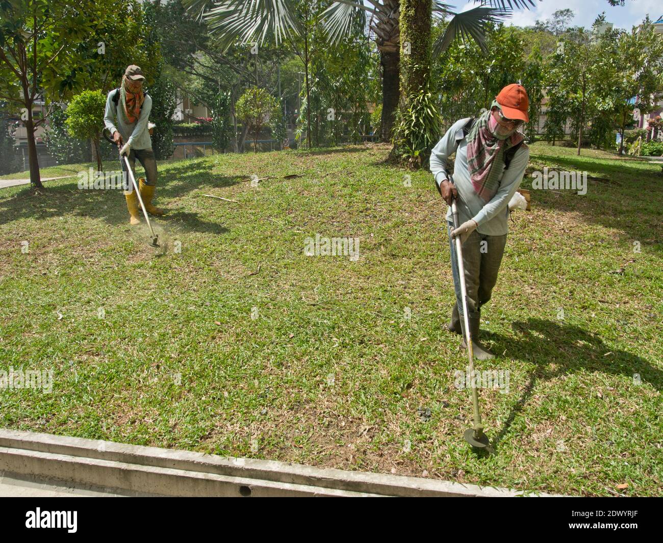 Cleaning migrant workers hi-res stock photography and images - Alamy