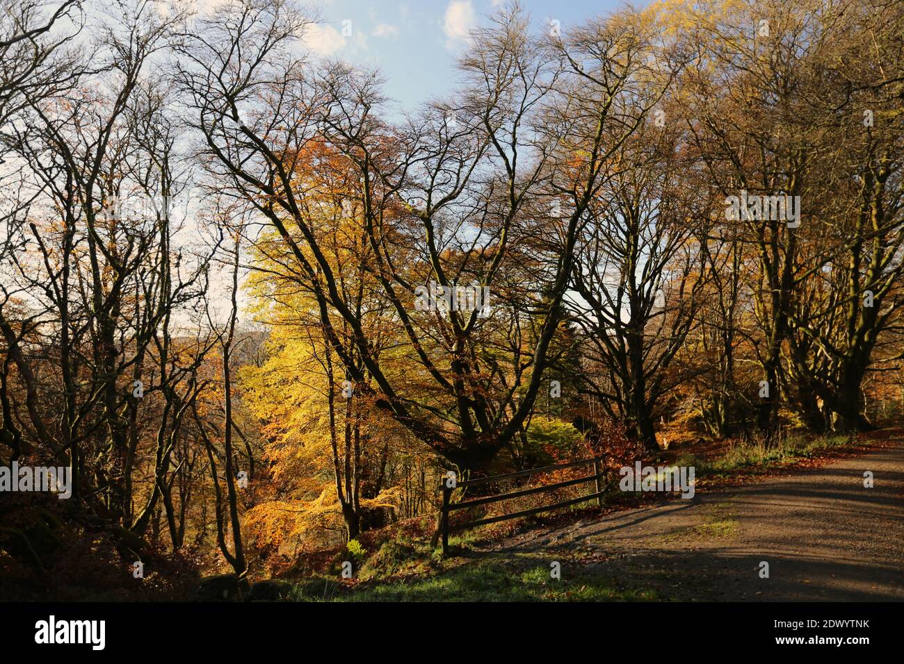 The warm colors of autumn in Scotland Stock Photo - Alamy