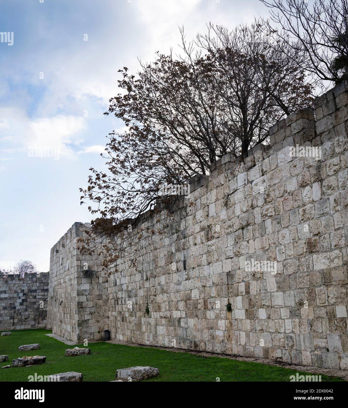 Jerusalem, Israel - December 17th, 2020:Trees spread their branches ...