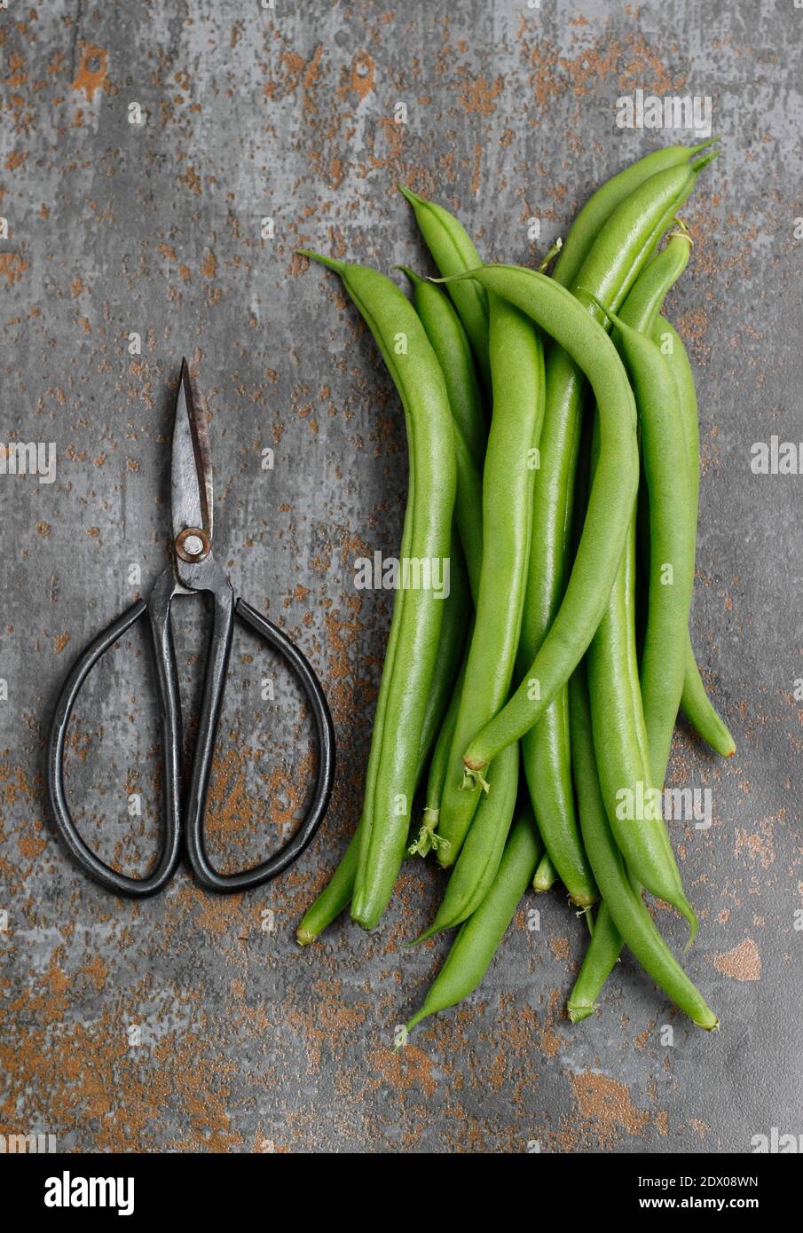 Phaseolus vulgaris 'Mamba' French climbing bean. UK Stock Photo - Alamy