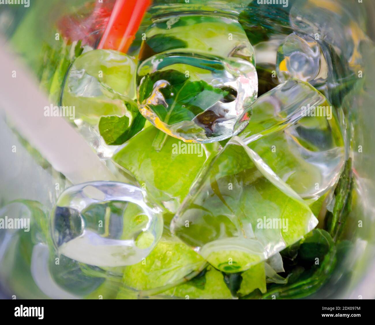 Plants ice cubes hi-res stock photography and images - Alamy