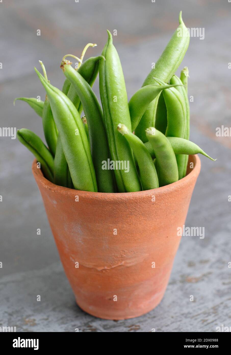 Mamba beans hi-res stock photography and images - Alamy