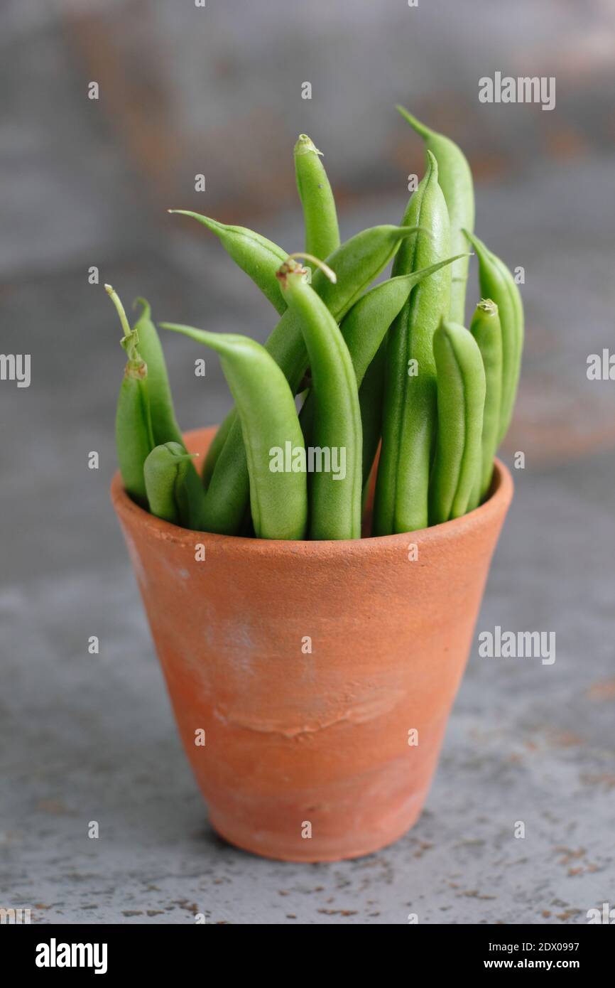 Mamba beans hi-res stock photography and images - Alamy