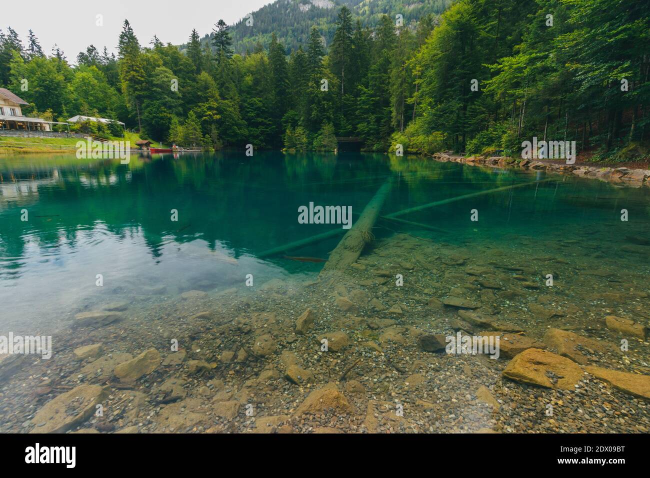 Lake blausee in switzerland hi-res stock photography and images - Alamy