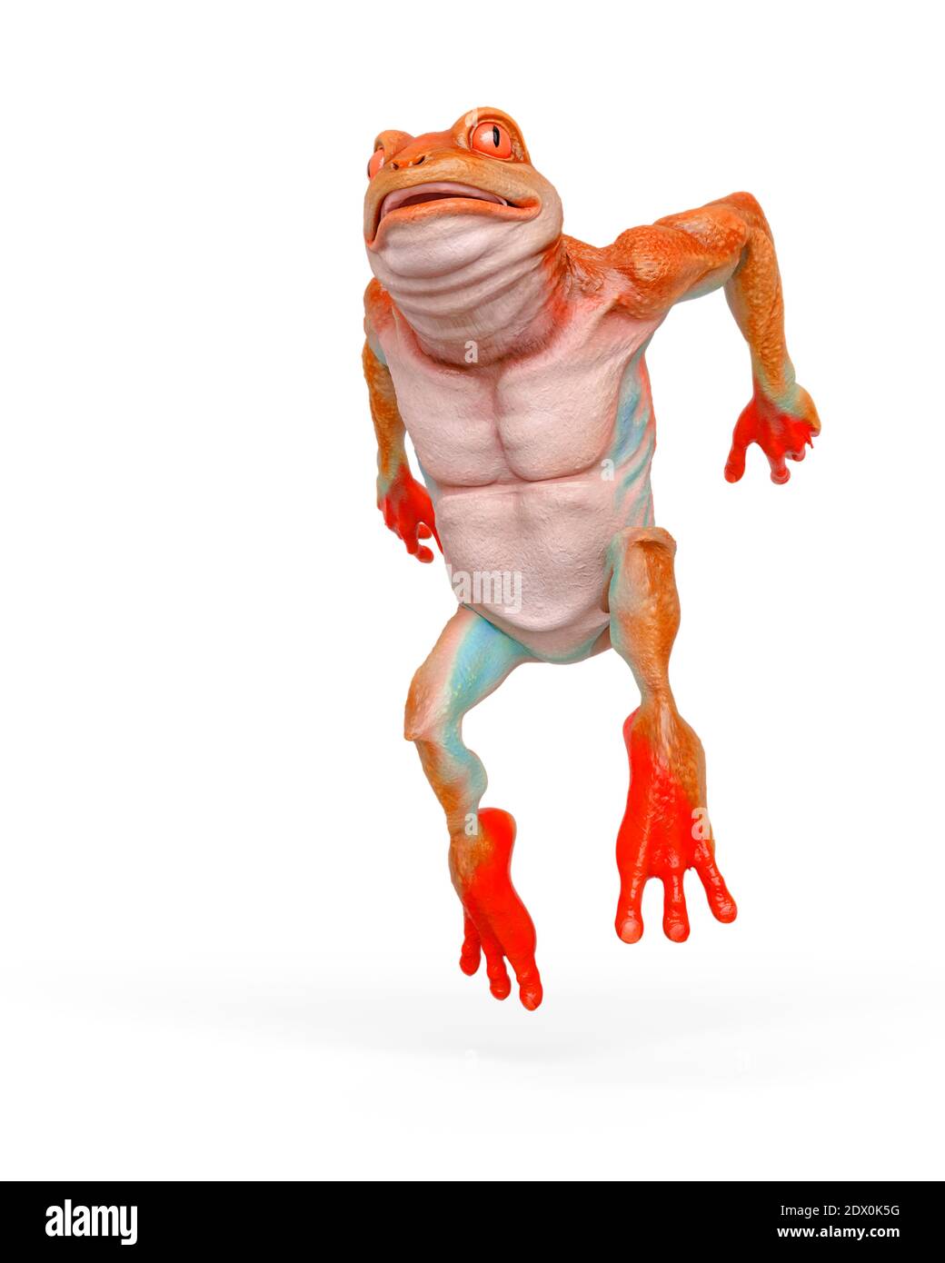 Red Eyed Tree Frog Jumping High Resolution Stock Photography and Images ...