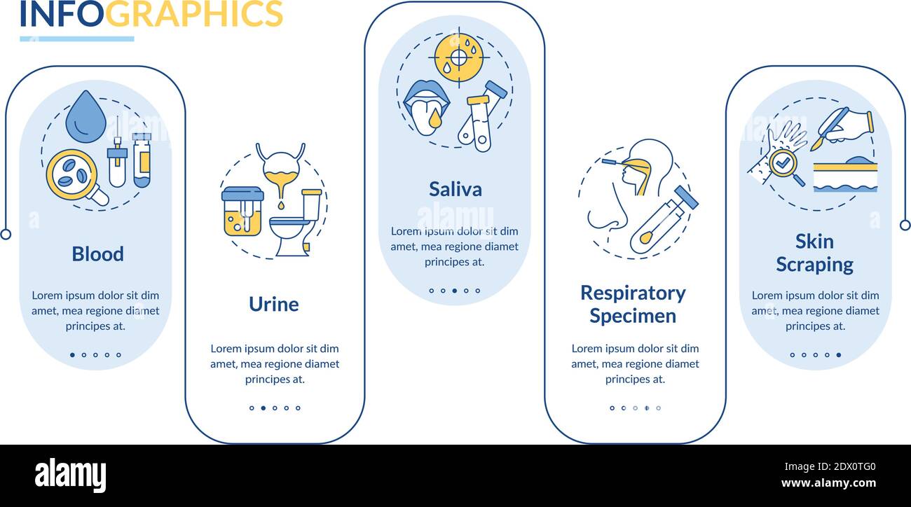 Lab specimens vector infographic template Stock Vector Image & Art - Alamy