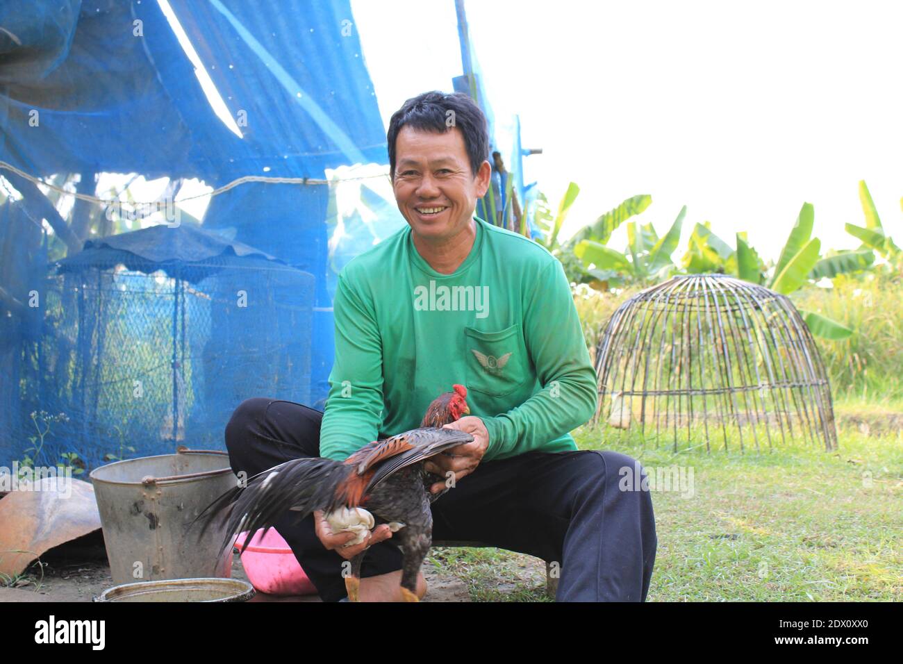 Man Holding Rooster High Resolution Stock Photography and Images - Alamy