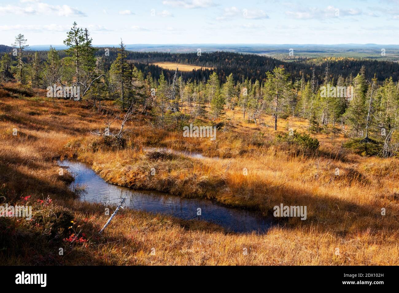 An aerial of famous hanging bogs in autumnal Riisitunturi National Park ...