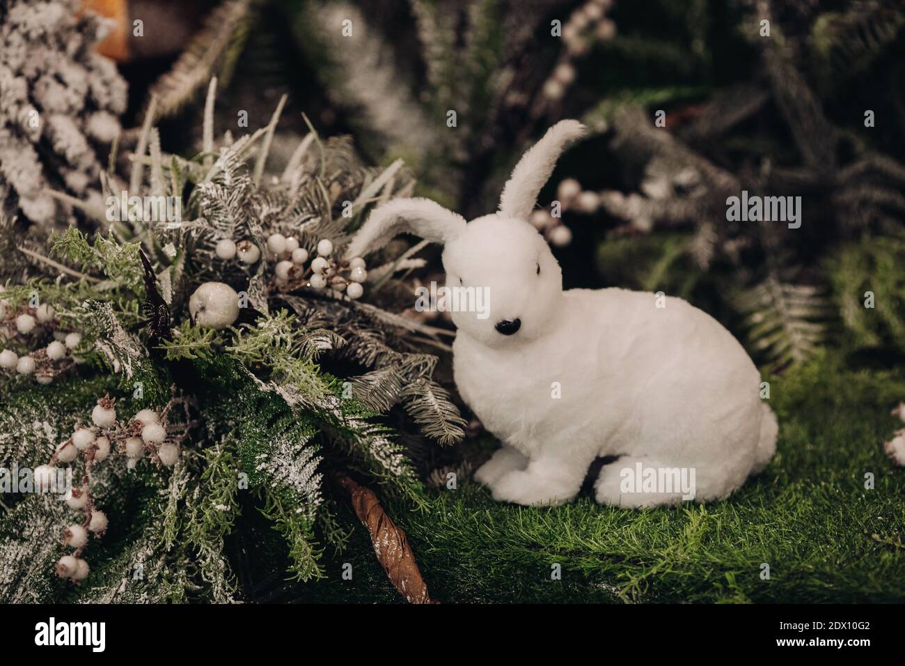 picture of pretty little white rabbit among a trees with a lot of snow ...