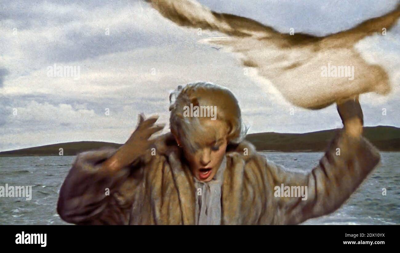 USA. Tippi Hedren in a scene from the ©Universal Pictures movie: The ...
