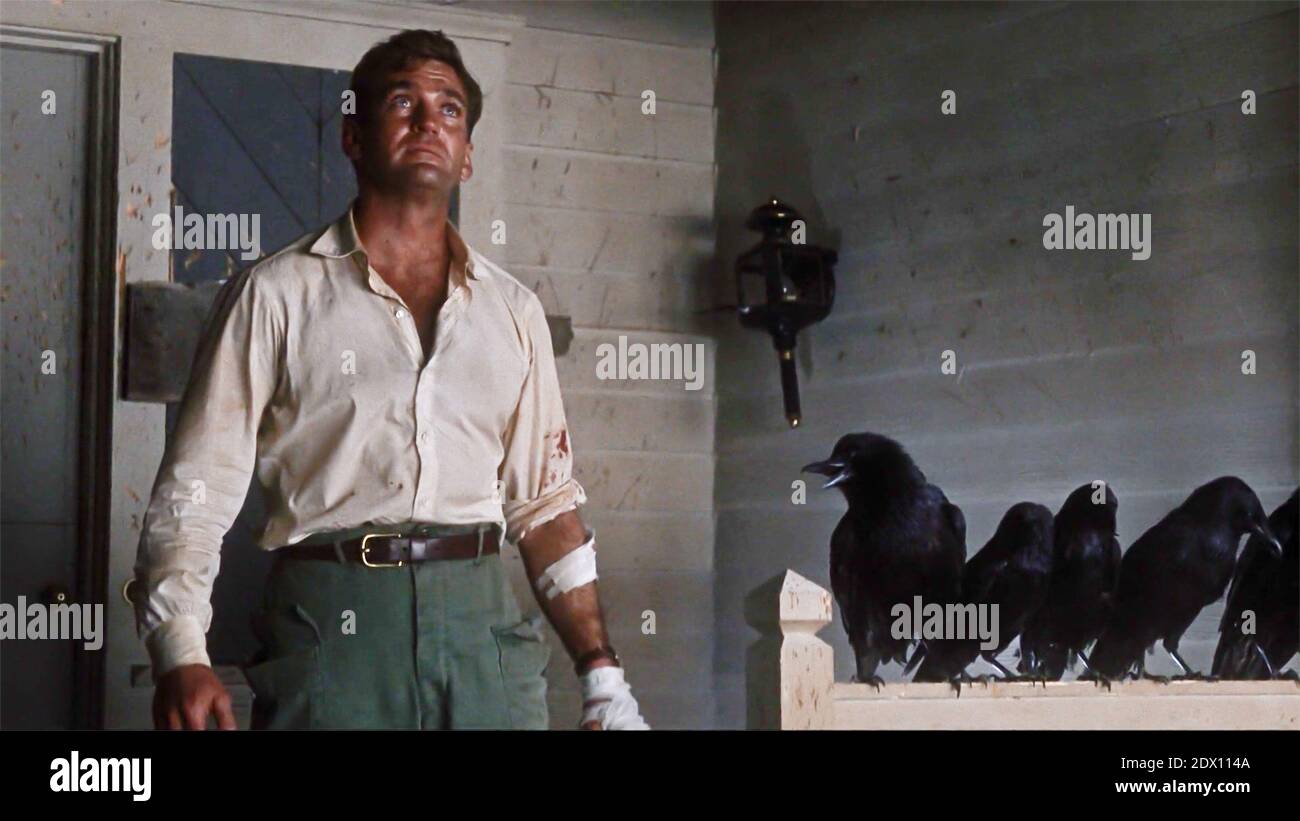 USA. Rod Taylor in a scene from the ©Universal Pictures movie: The ...