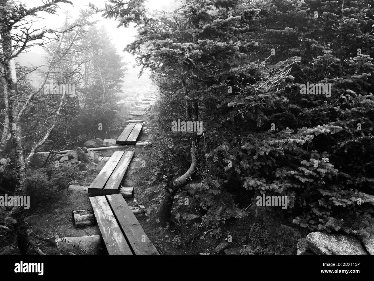 Hiking path through white hi-res stock photography and images - Alamy