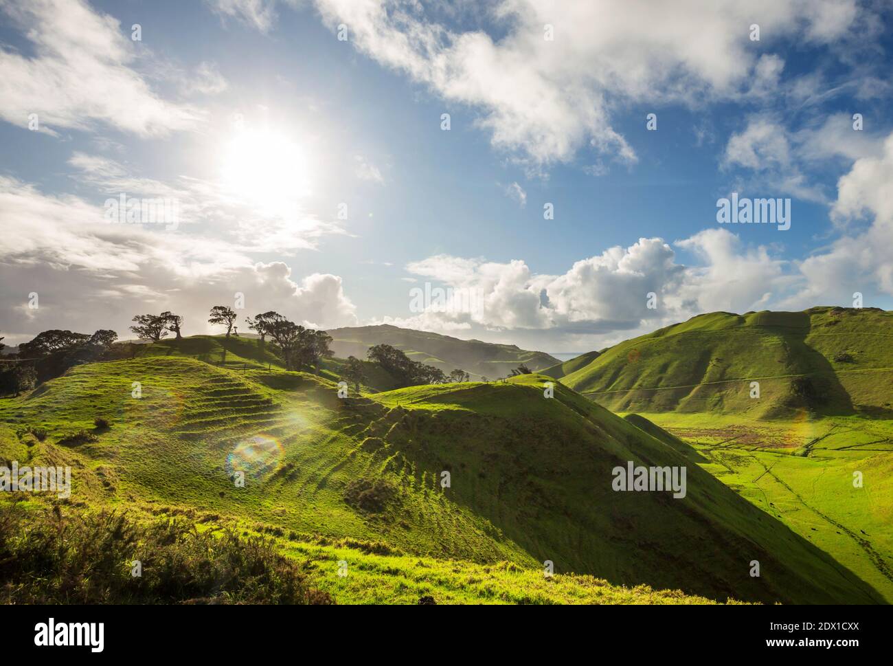 Beautiful rural landscape of the New Zealand at sunrise Stock Photo - Alamy