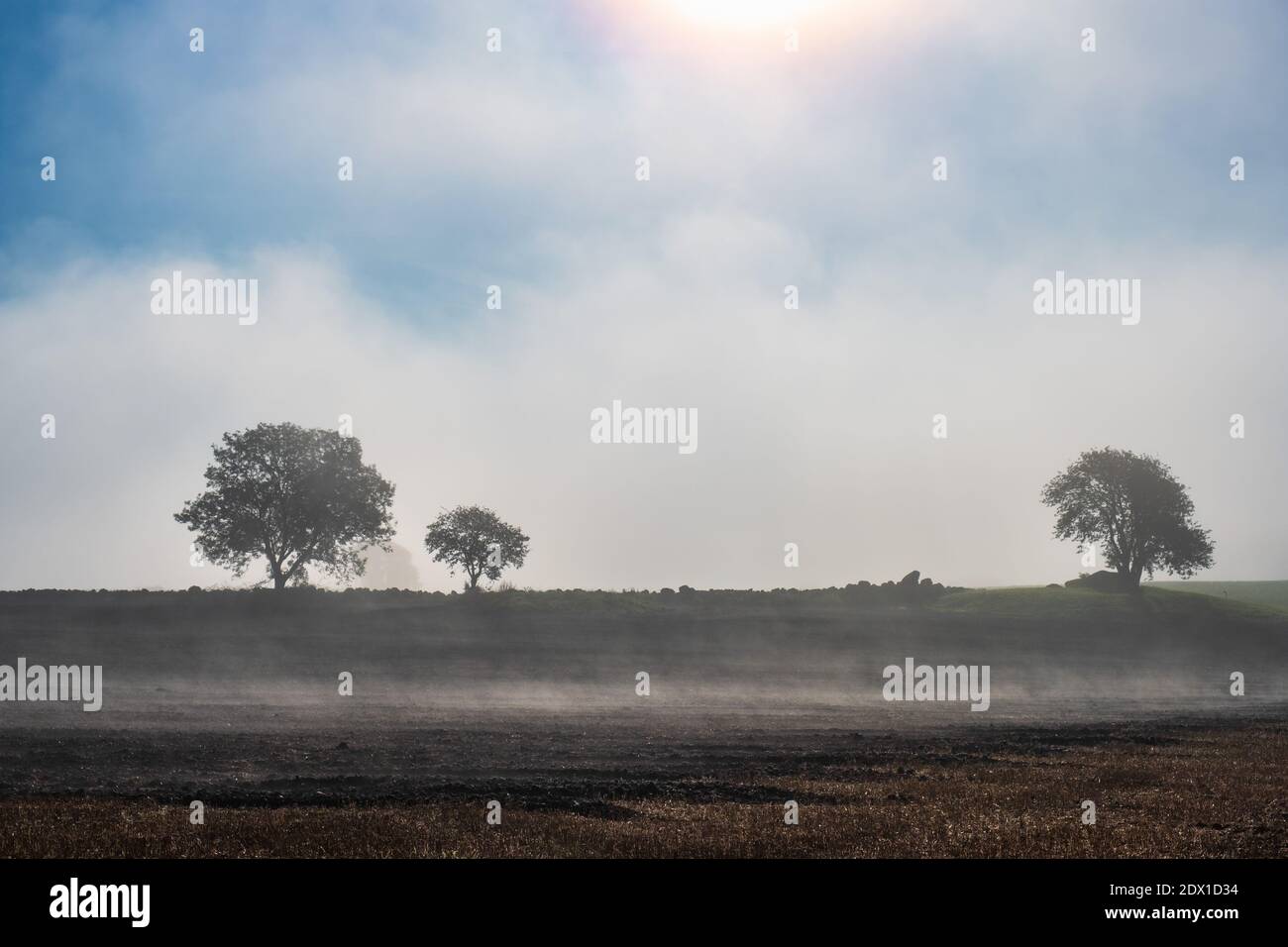 Stubble field at morning mist hi-res stock photography and images - Alamy