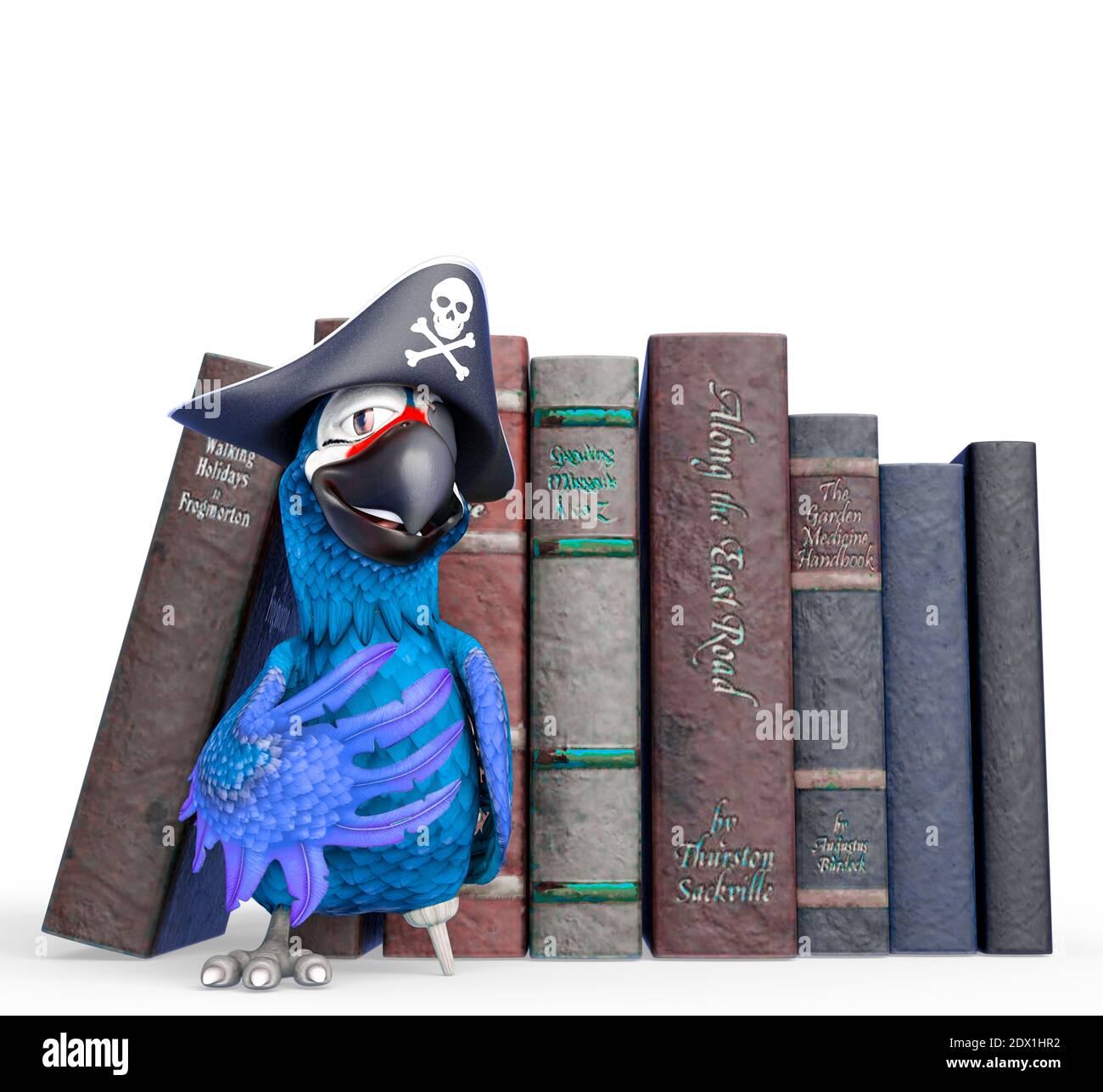 parrot pirate is in front of the books, 3d illustration Stock Photo - Alamy