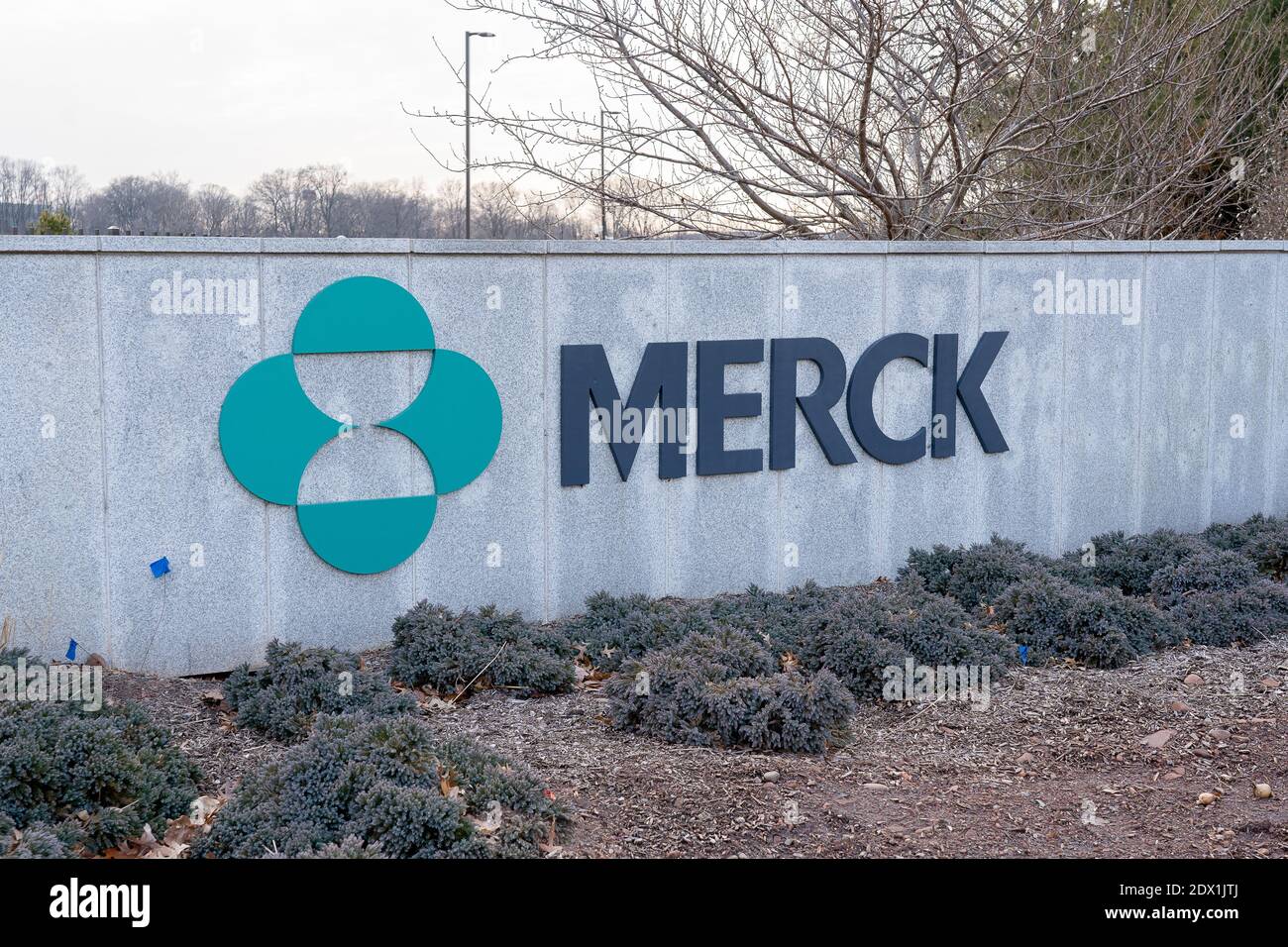 New Jersey, USA - January 27, 2019: Merck sign and logo on the wall at ...
