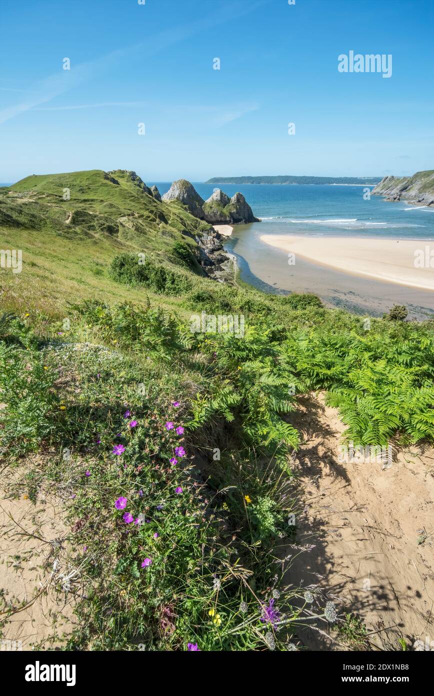 Beautiful Three Cliffs Bay on the Welsh South coast Stock Photo - Alamy