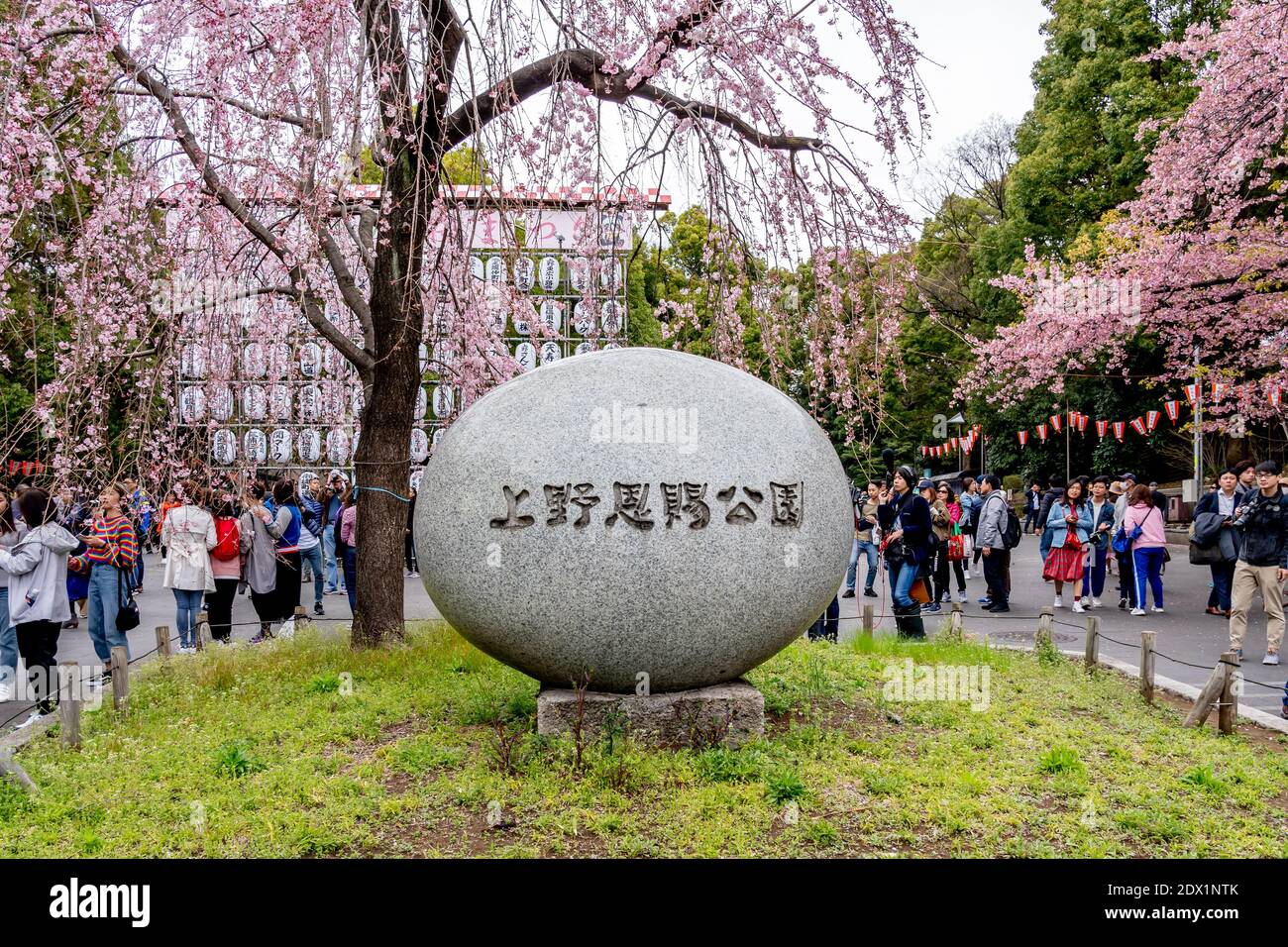 People visit Ueno Park in Tokyo, Japan in spring Stock Photo - Alamy
