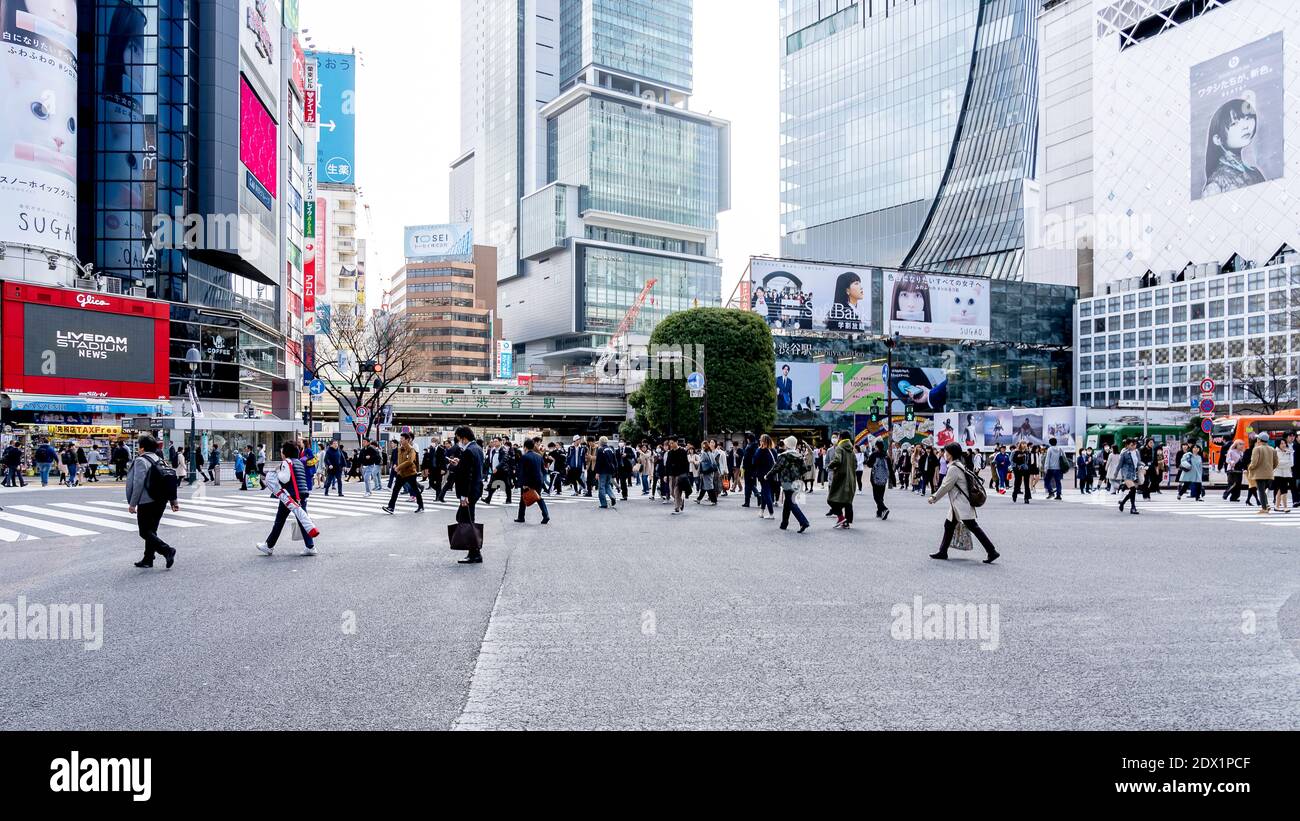 View of famous Shibuya pedestrian crossing in Tokyo, Japan Stock Photo ...