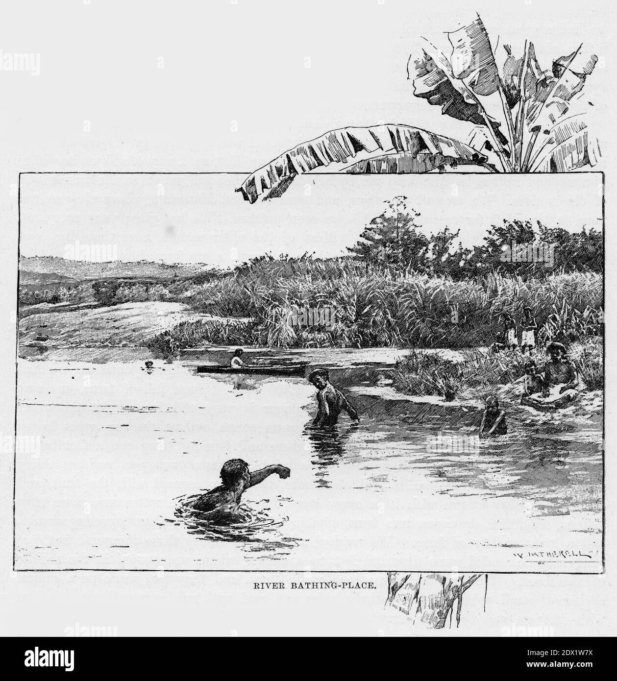 Engraving of native Fijians bathing at a swimming hole Stock Photo - Alamy