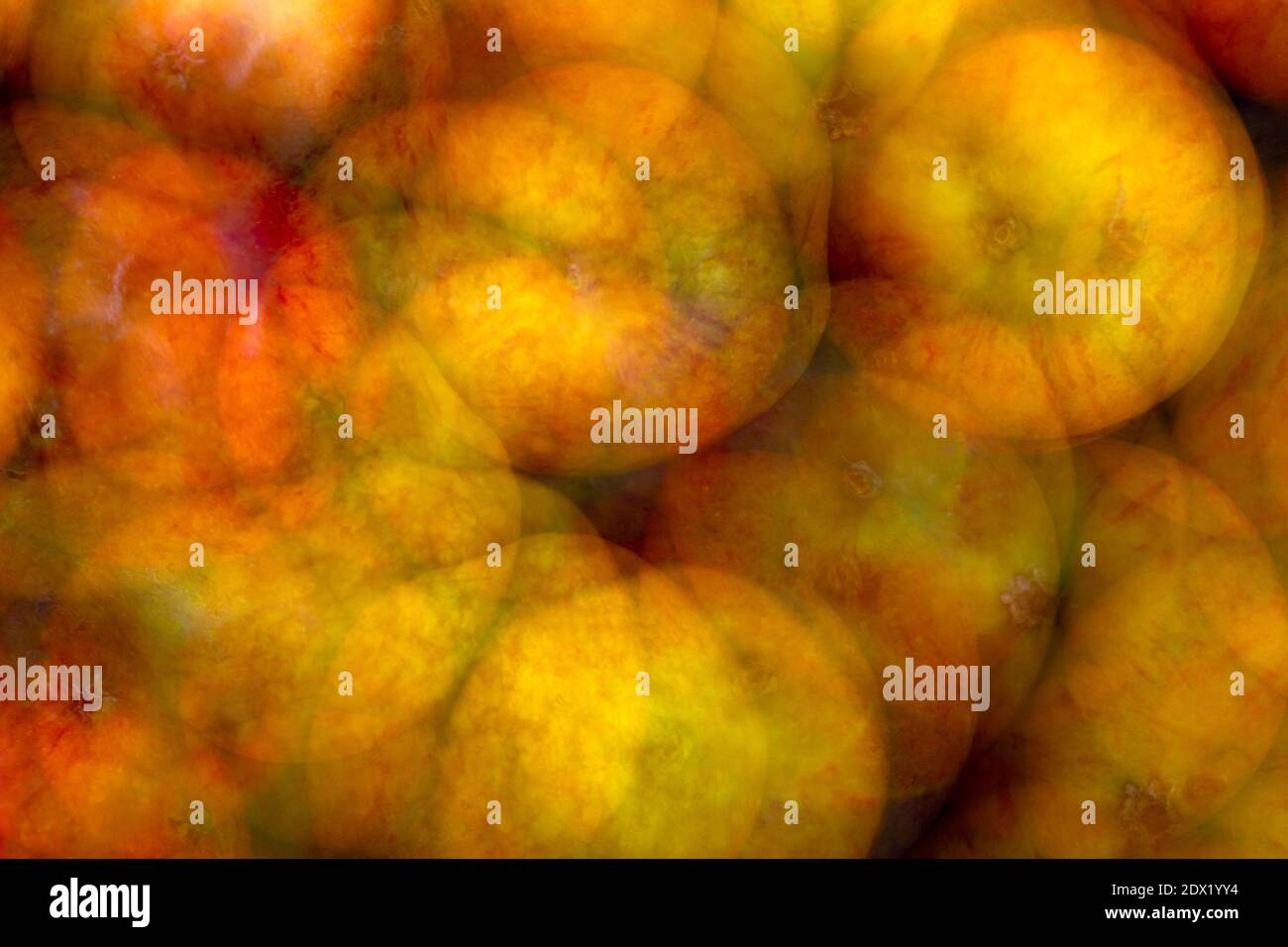 WA18816-00...WASHINGTON - A box of apples photographed with five images ...