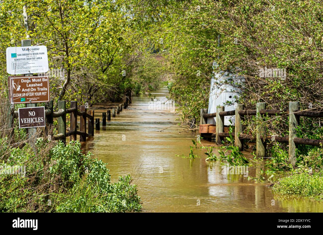 flooded hiking trail path Stock Photo - Alamy