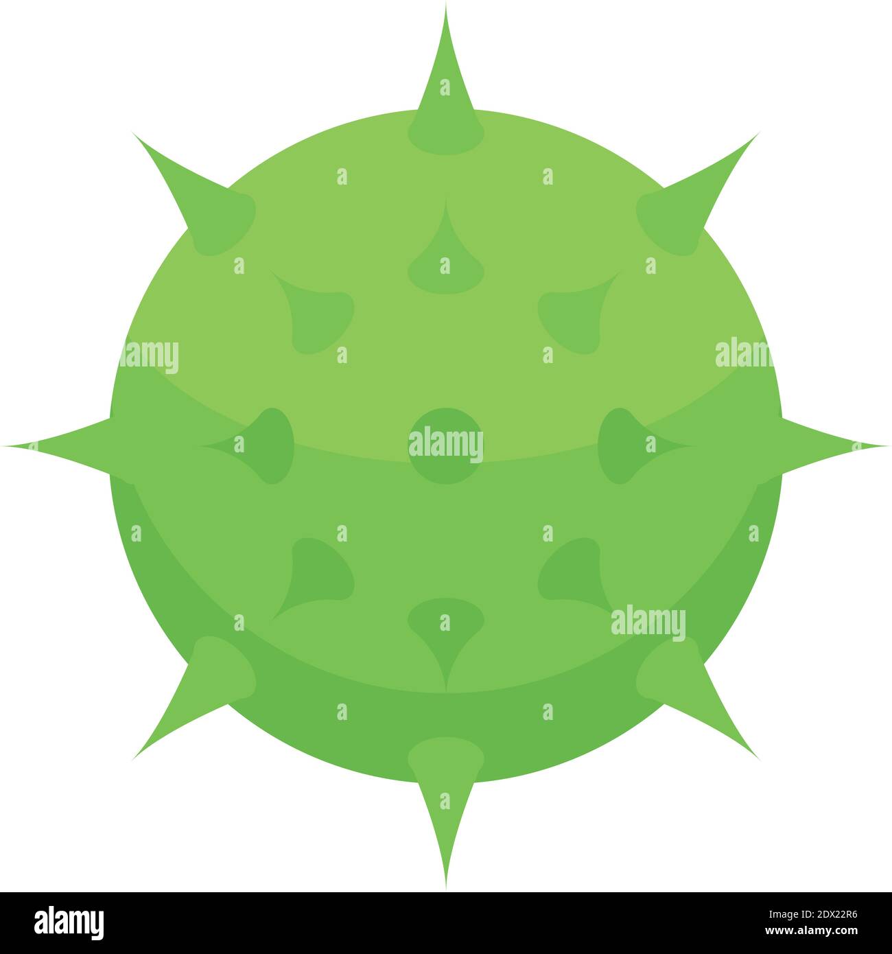 Green Chestnut Icon Isometric Of Green Chestnut Vector Icon For Web Design Isolated On White