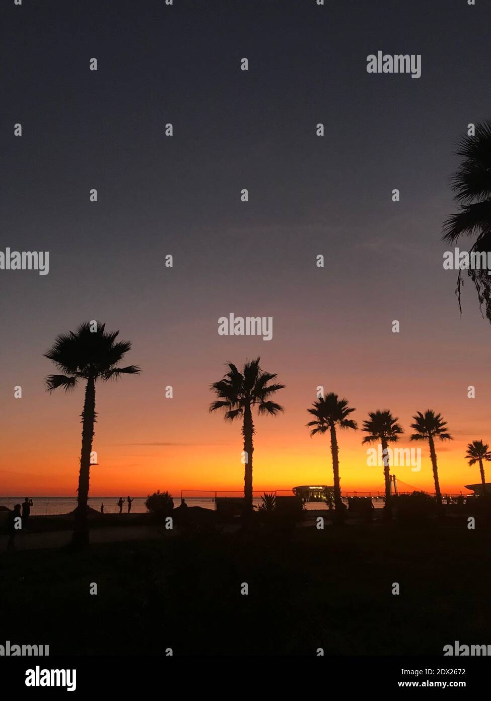 Beach albania palm trees hi-res stock photography and images - Alamy