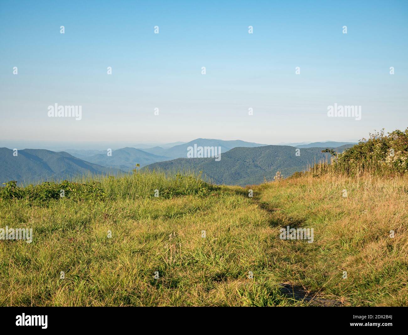 hiking path in the smokey mountains with a clear blue sky Stock Photo ...