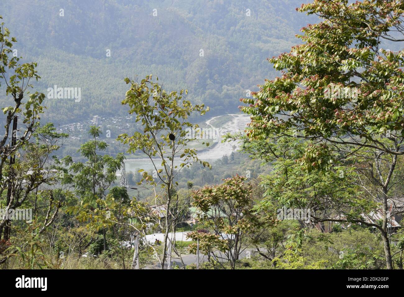 Sikkim Tree People High Resolution Stock Photography and Images - Alamy