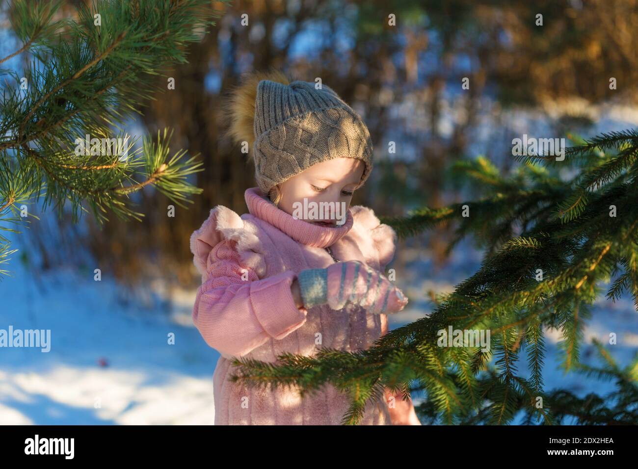 Little girl is playing with pine tree In Winter forest. Kids Outdoors ...