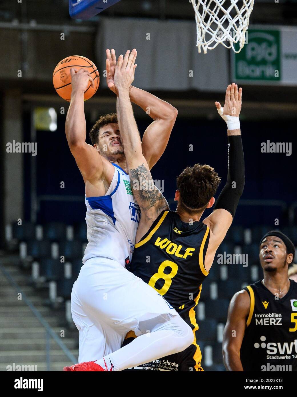 Lions and tigers hi-res stock photography and images - Alamy