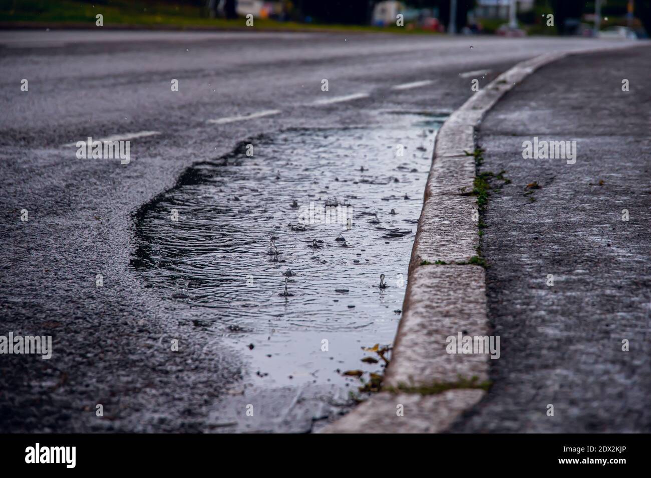 A selective focus shot of raindrops falling into a puddle by the ...