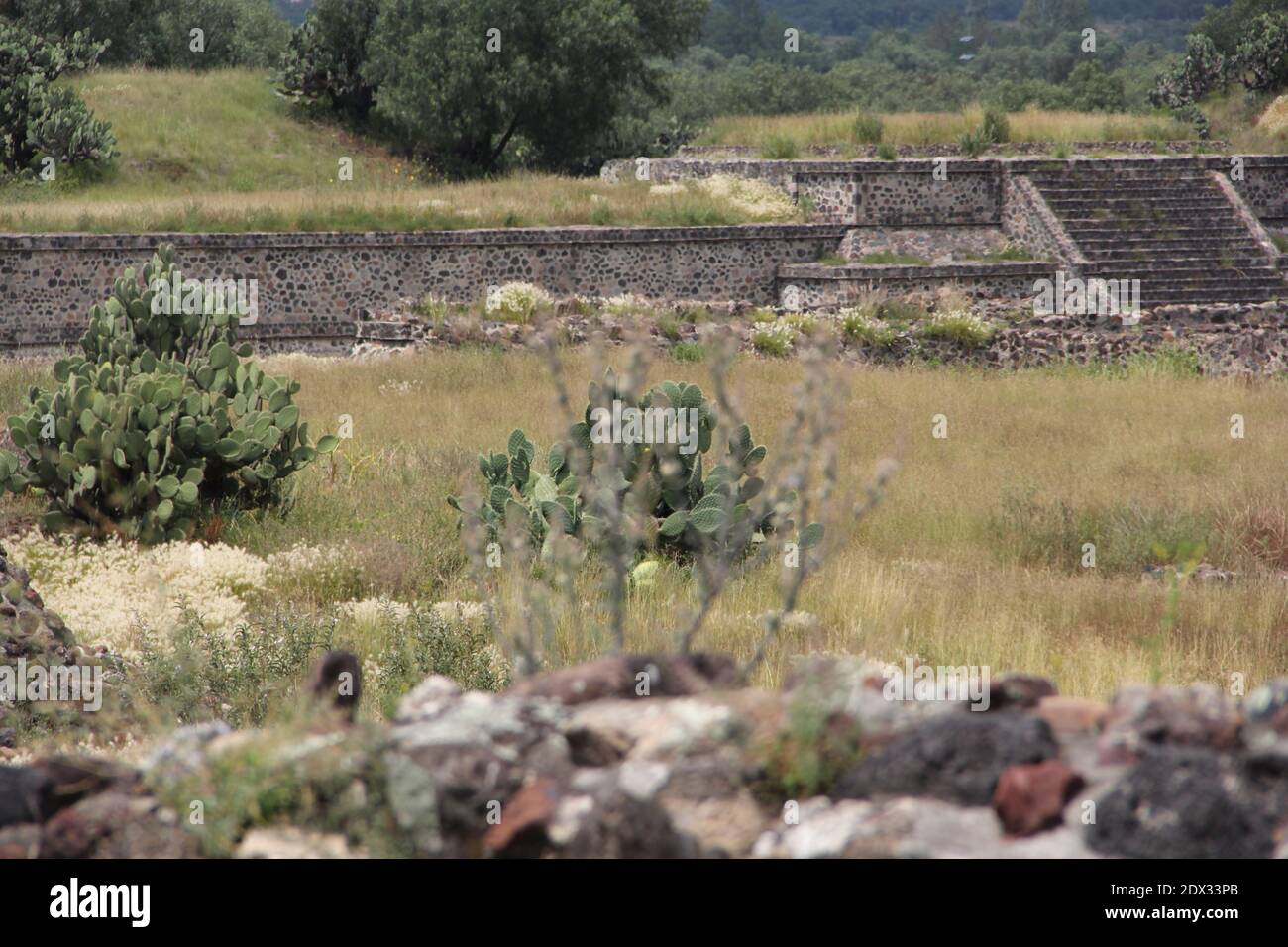 Mexico pollution plants hi-res stock photography and images - Alamy