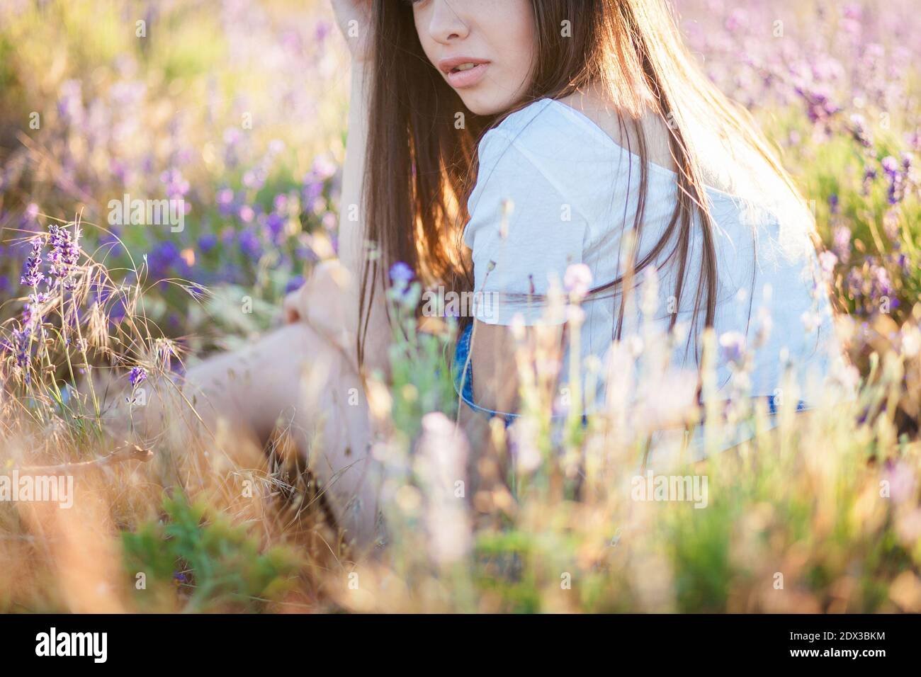 A beautiful lonely innocent girl sits and dreams in a lavender meadow ...