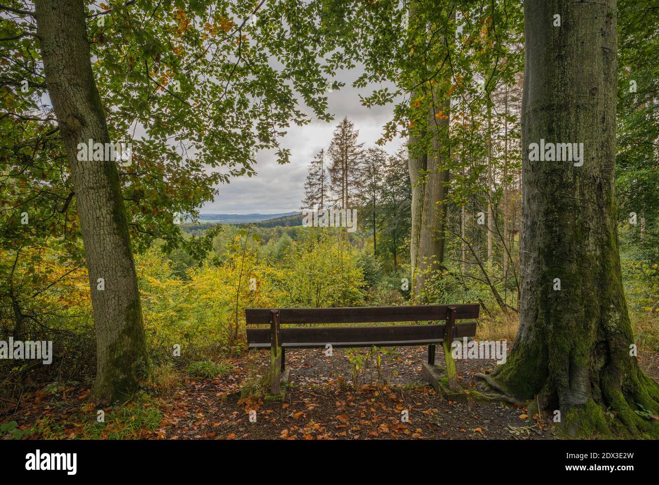 Westerwald a hi-res stock photography and images - Alamy