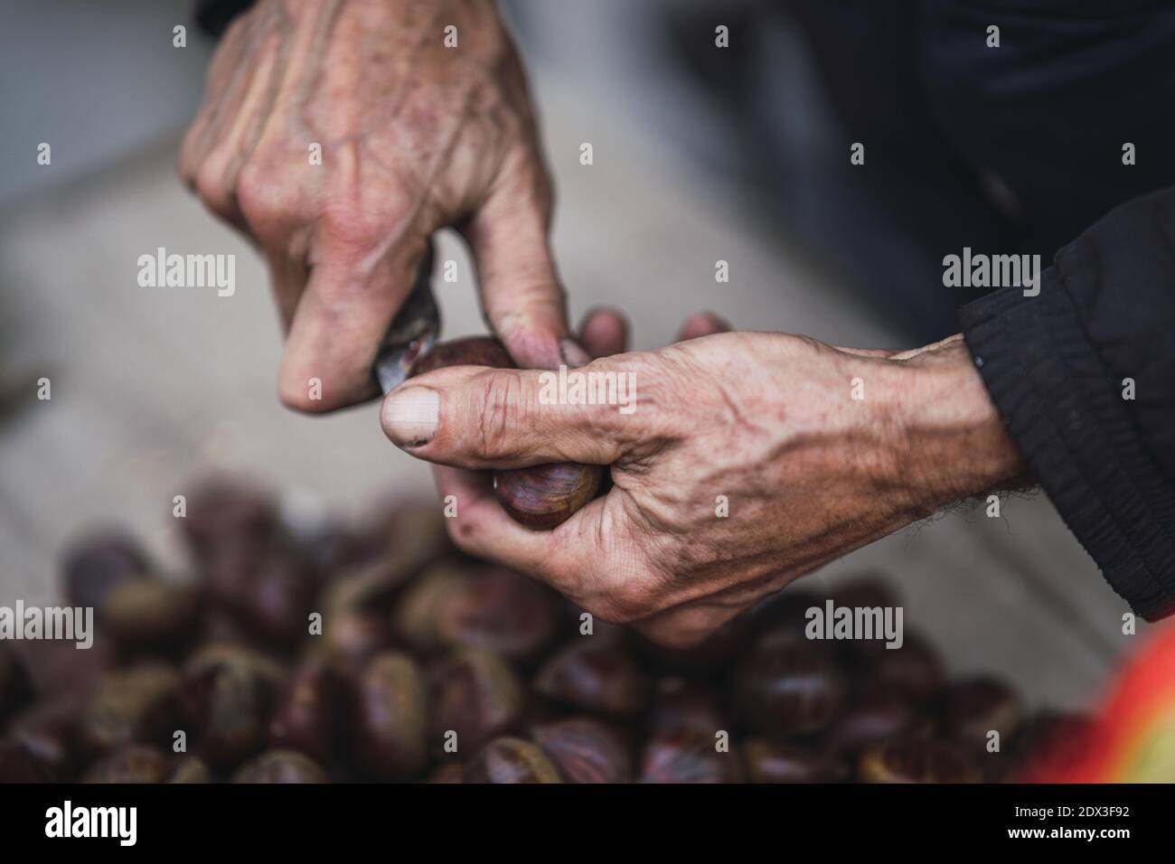Human hands cutting wild hi-res stock photography and images - Alamy