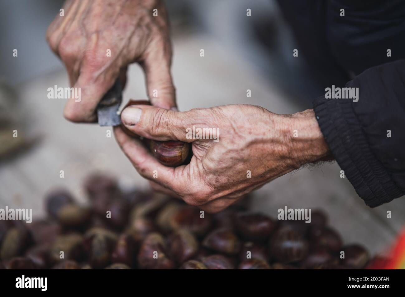 Human hands cutting wild hi-res stock photography and images - Alamy