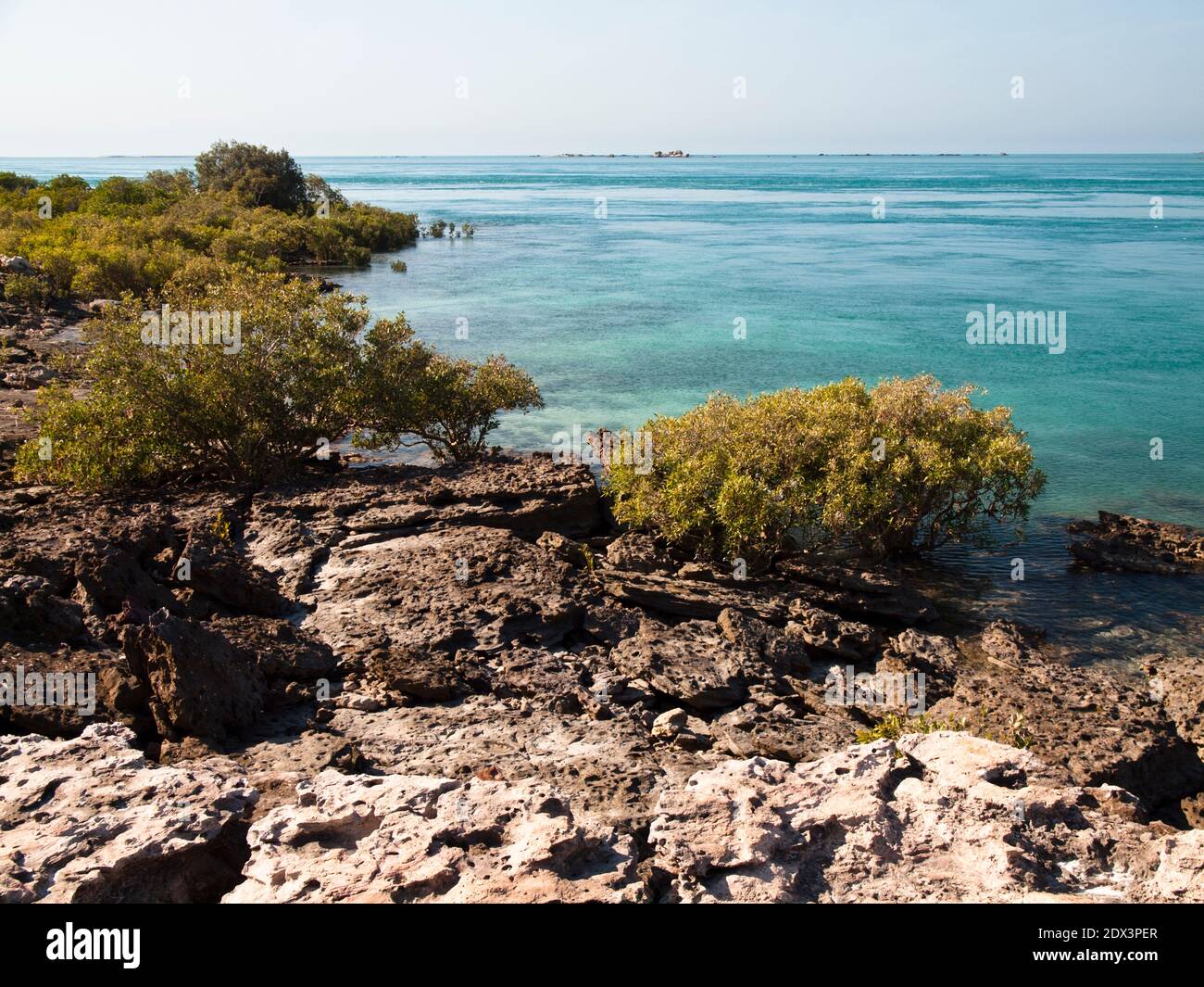 Looking past mangroves across King Sound to the Buccaneer Archipelago ...