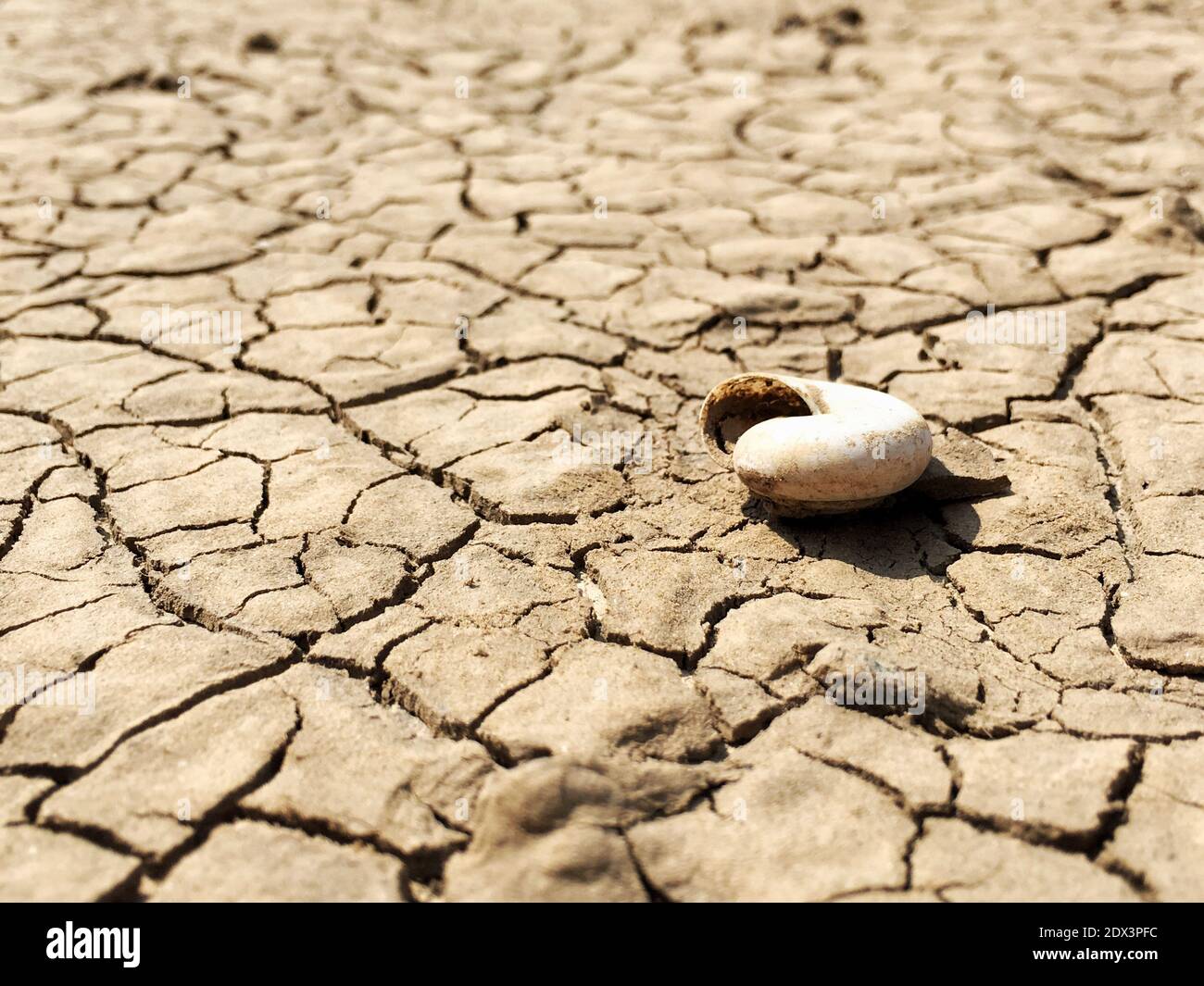 Arid ground hi-res stock photography and images - Alamy