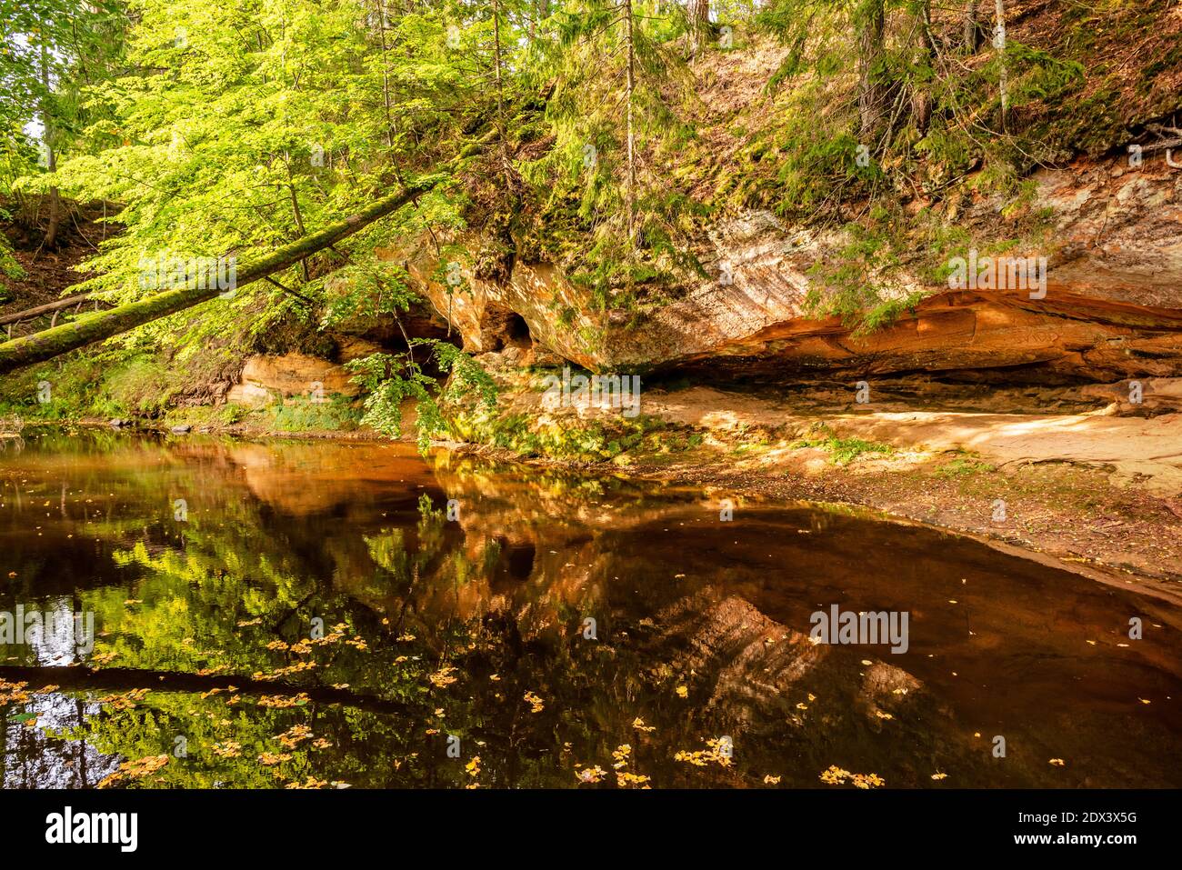 Surrounded forest hi-res stock photography and images - Alamy