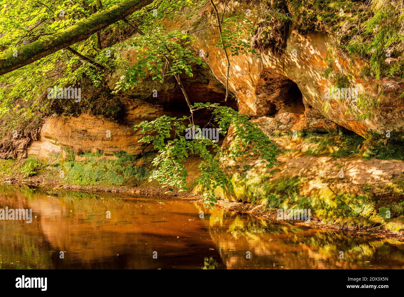 surrounded by forest, the steep bank of the river with the calm river ...
