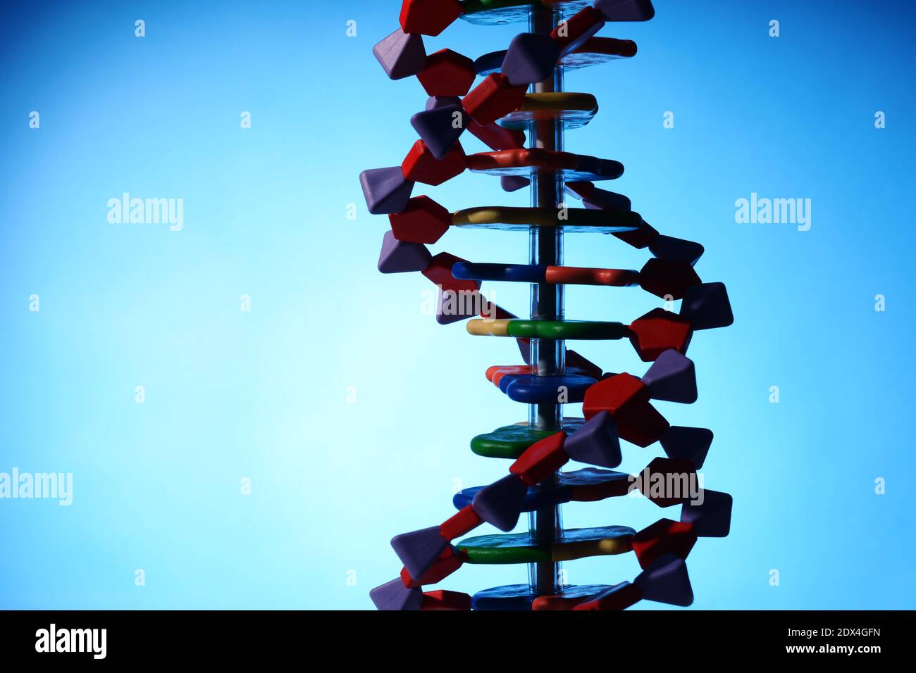 Dna double helix model hi-res stock photography and images - Alamy