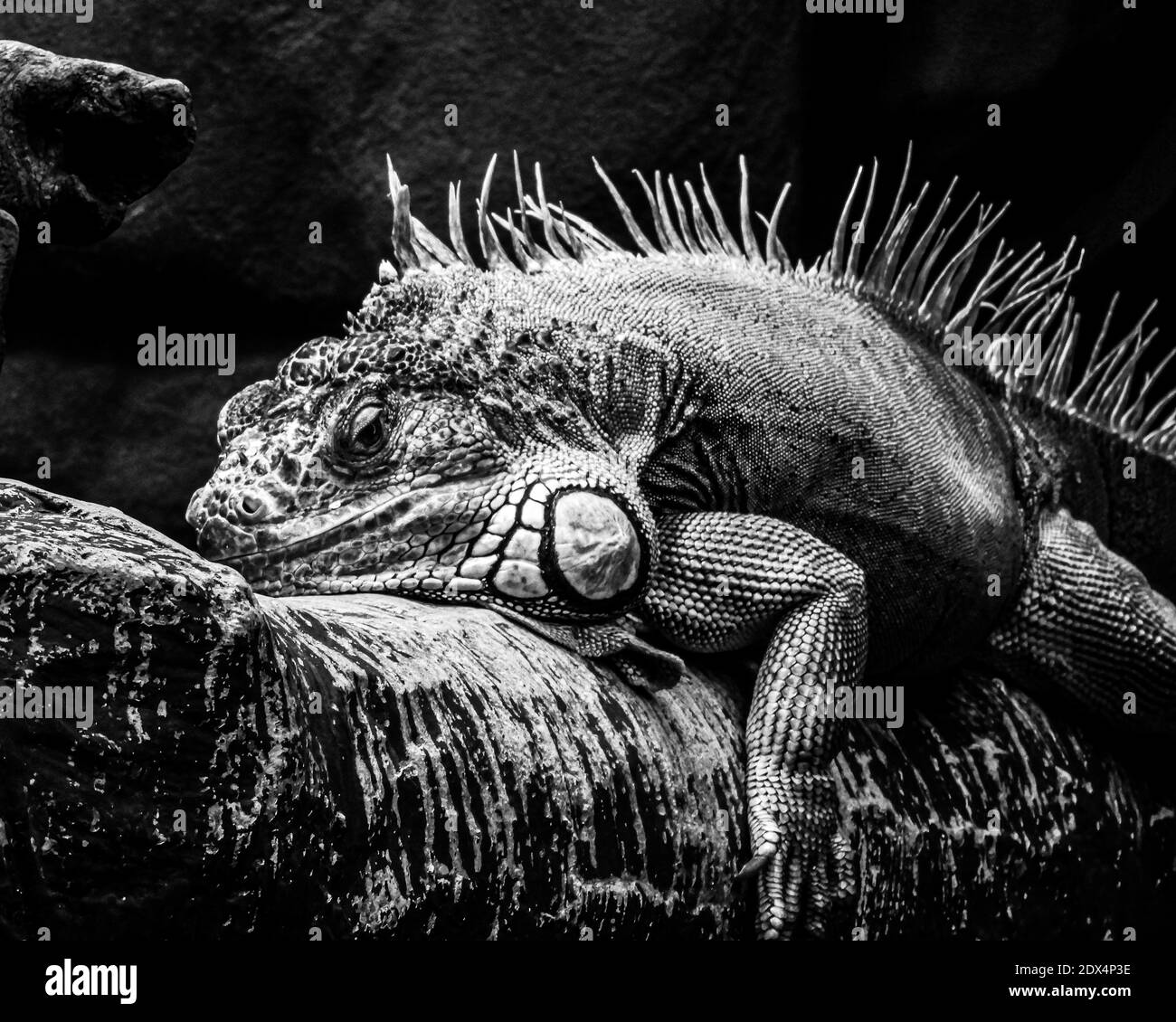 Bnw outdoors hi-res stock photography and images - Alamy