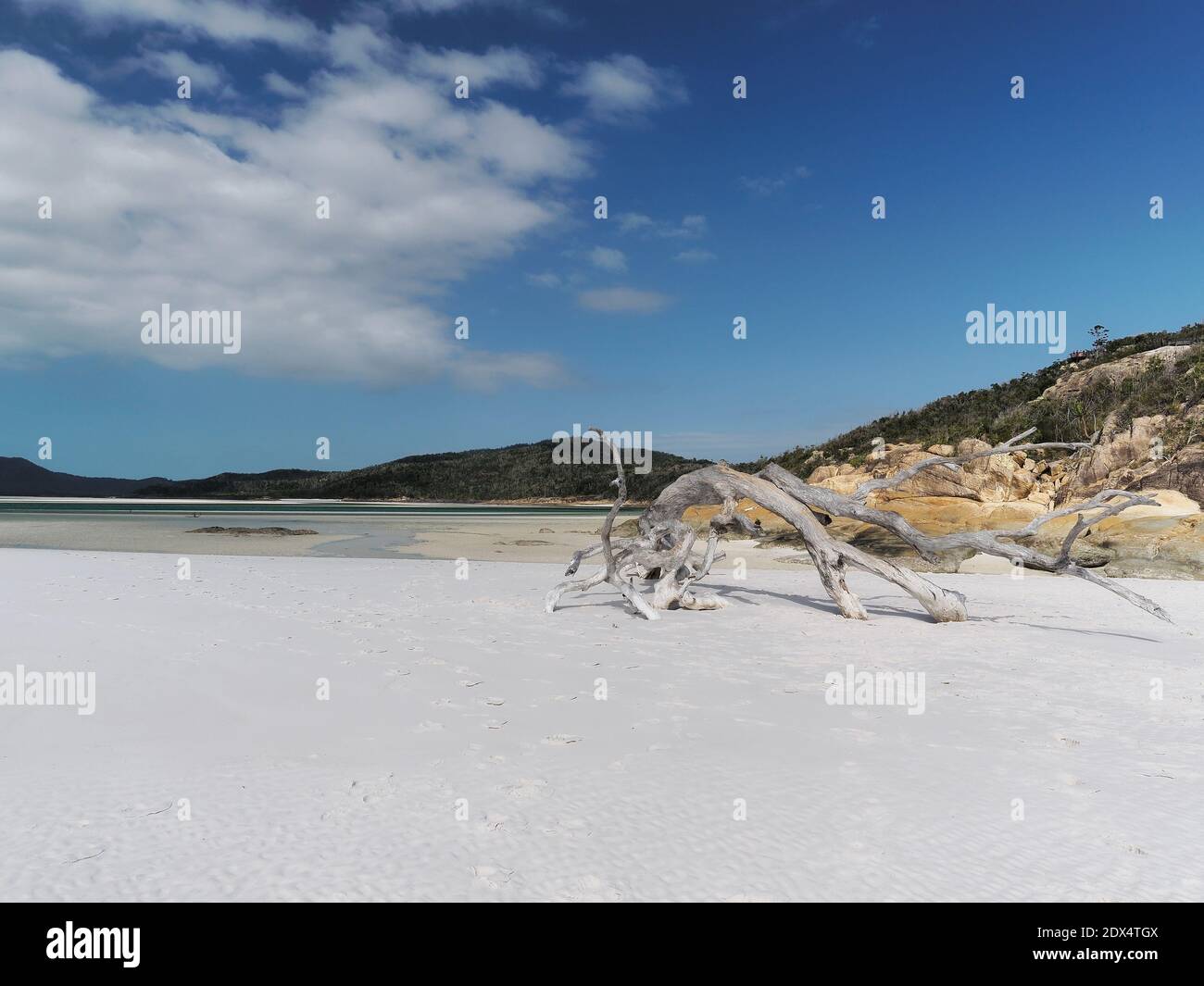 Hamilton beach new zealand hi-res stock photography and images - Alamy