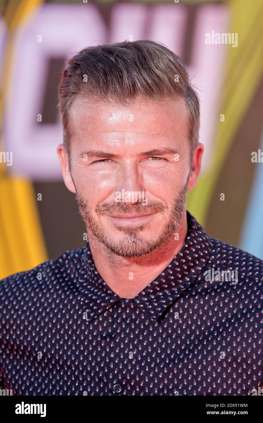 David pauley hi-res stock photography and images - Alamy